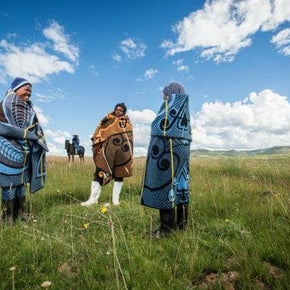 Aranda for Sale - ️Lowest Prices Guaranteed (2024*)